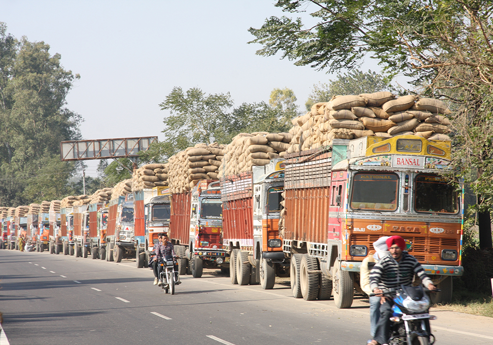 Crop sowing lags in India on scanty rains, raises concerns over yields ... Crop sowing lags in India on scanty rains, raises concerns over yields ...