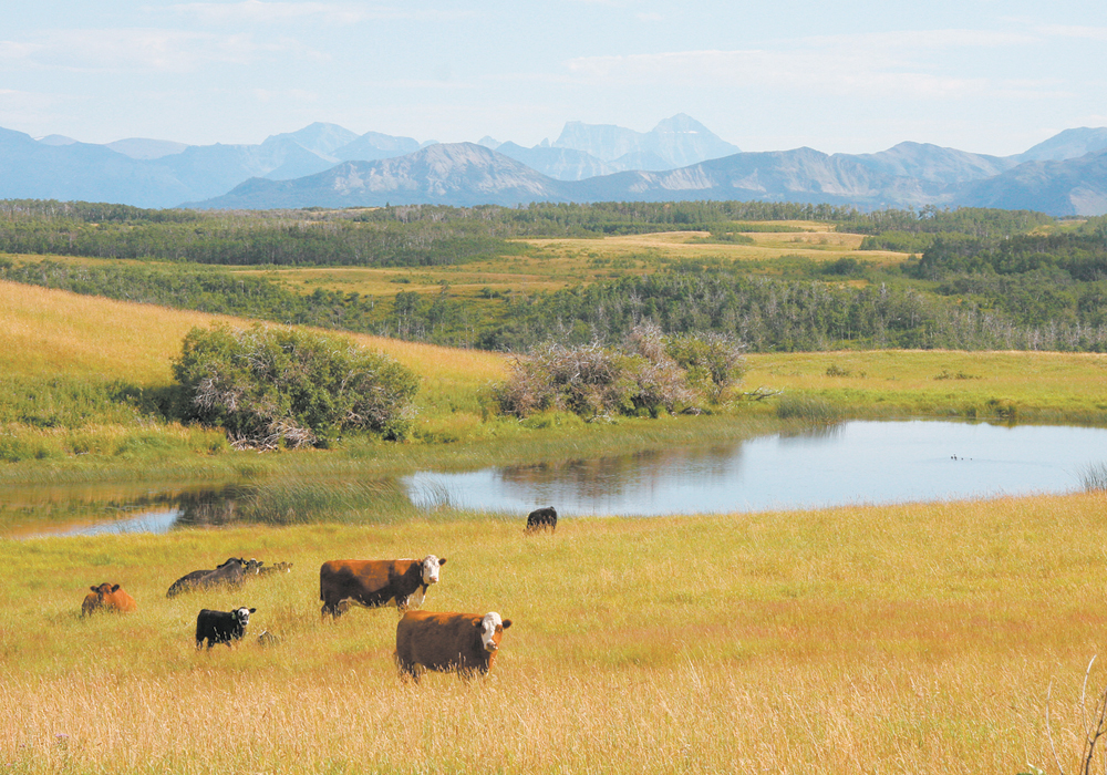 Externalities Farmers Caught In The Middle The Western Producer