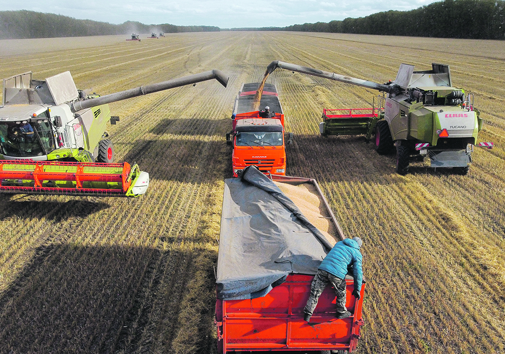 Russia considers backing out of durum market | The Western Producer Russia considers backing out of durum market | The Western Producer